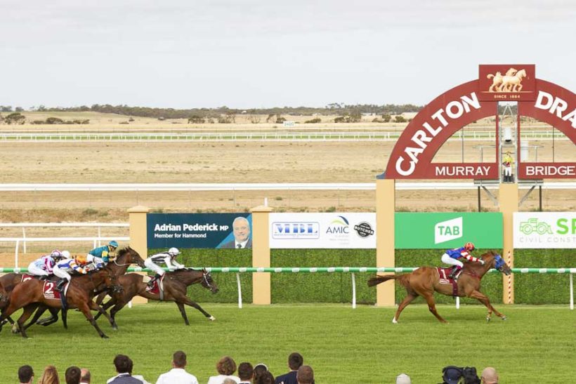 A win for Mystyko at Murray Bridge